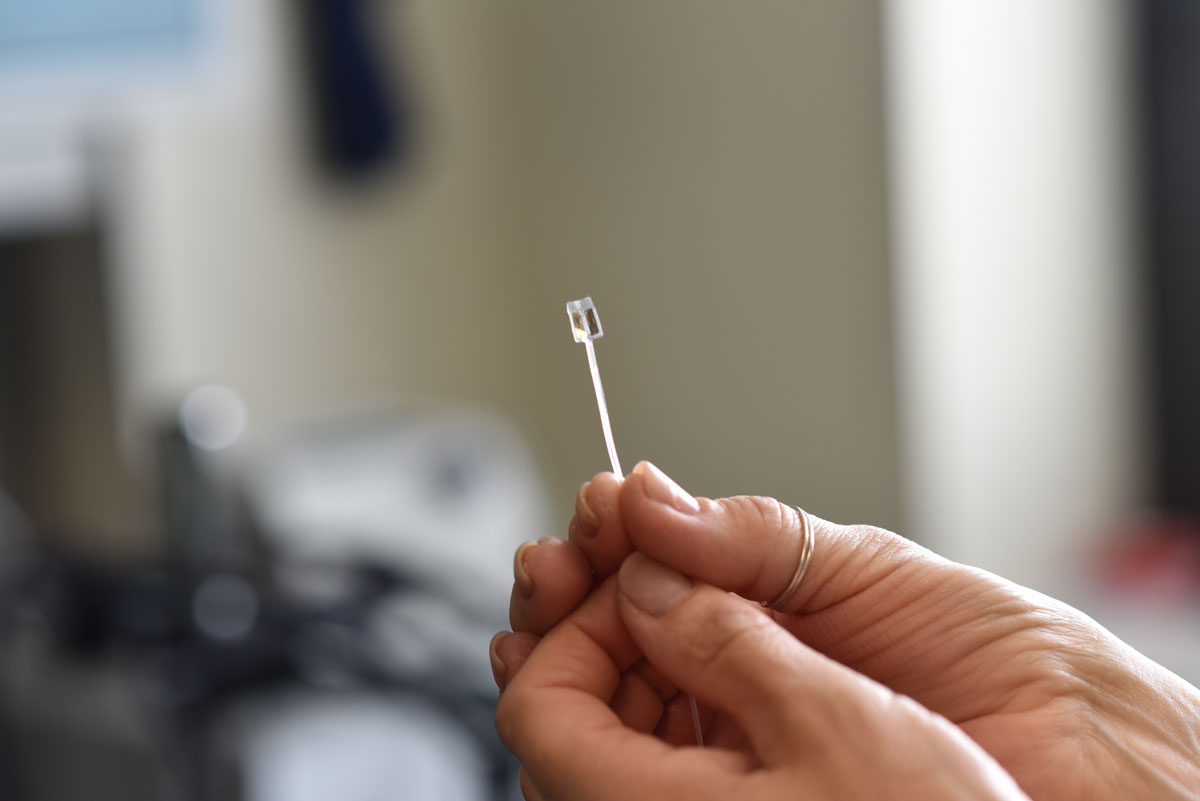 FES Fosters Collaboration and Research in the Fight Against Pain ...